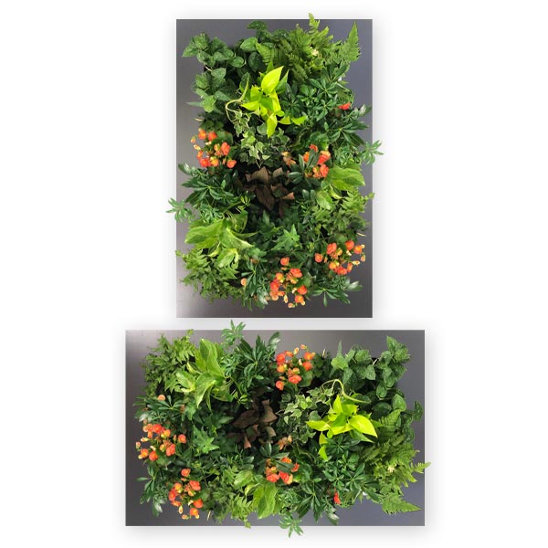 Accent Frame - Special Order Item - Contact us for pricing